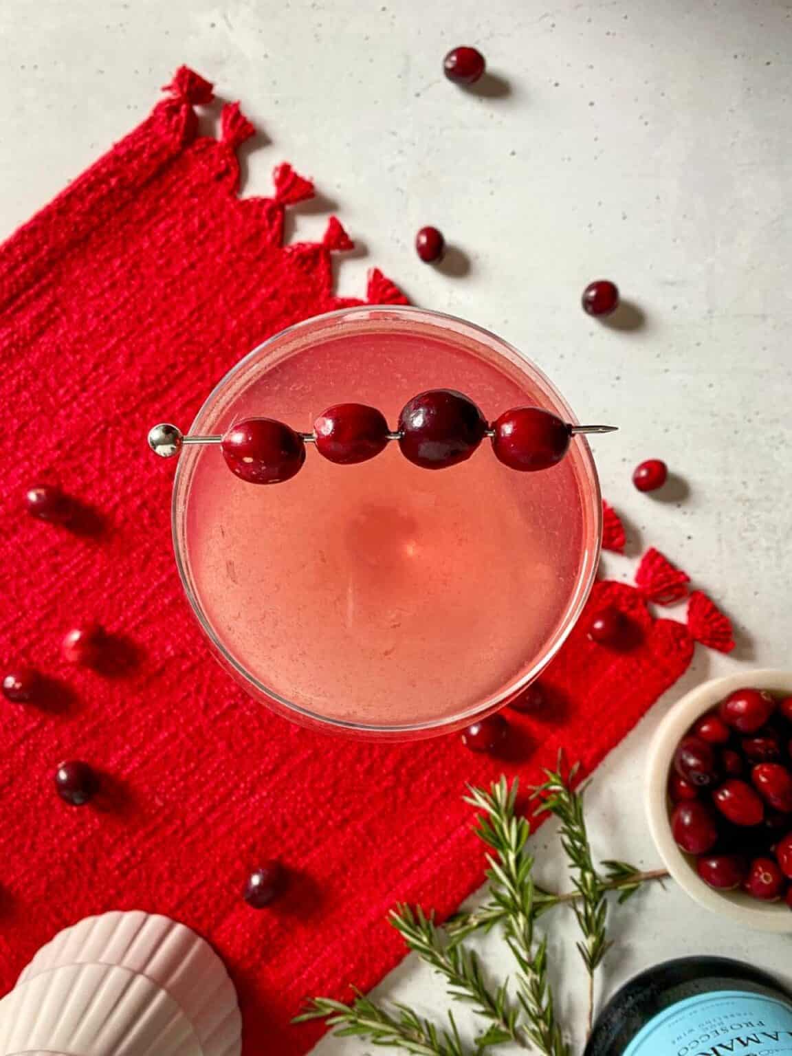 Sparkling Cranberry Gin Cocktail - Happy Honey Kitchen