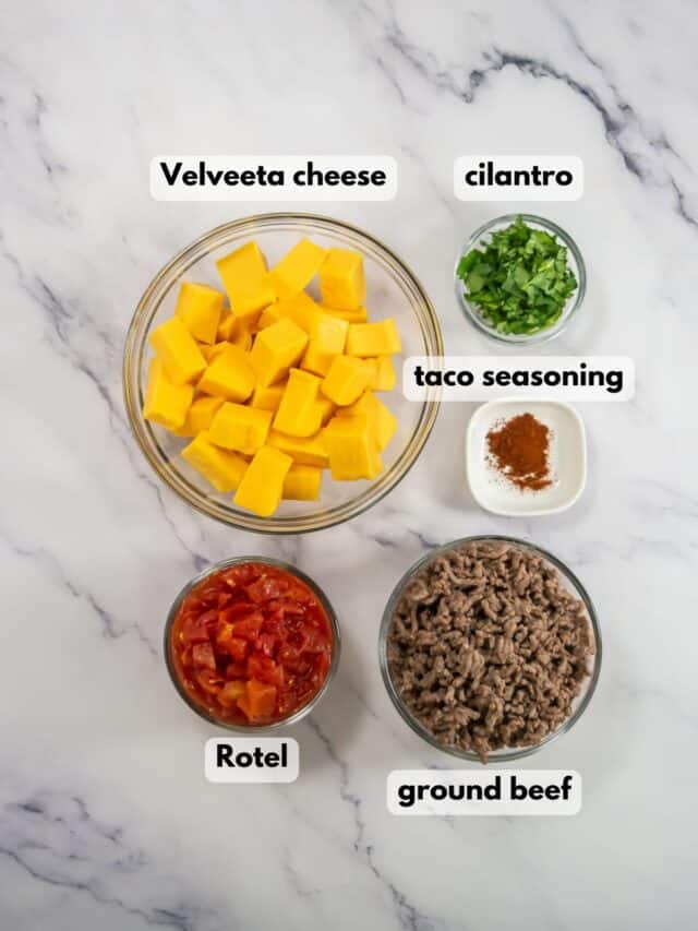 Easy Beef Queso Dip with Rotel - Happy Honey Kitchen
